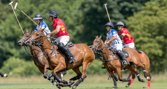 What are the basic rules and objectives of polo? - robertturf